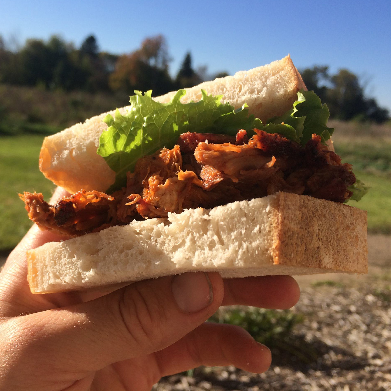 Shop All - Meat - Meat Clubs - TC Farm