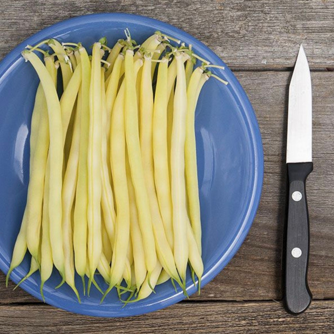 HIGH MOWING SEEDS Gold Rush Yellow Wax Beans