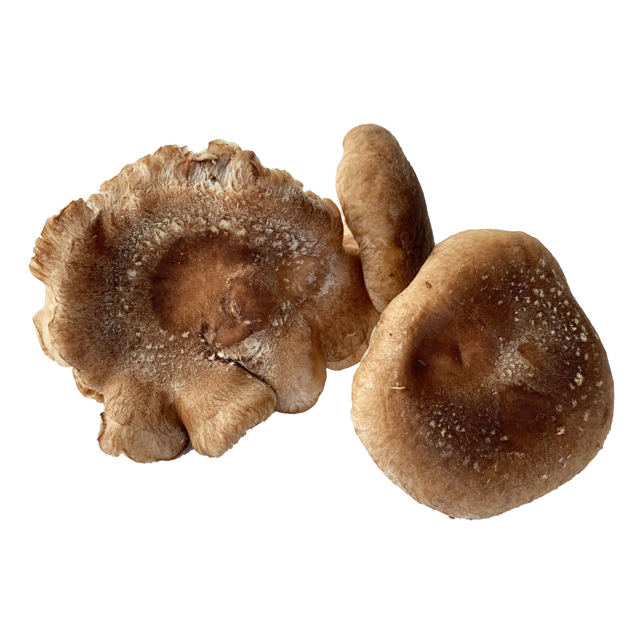 Mushrooms - Shiitake - avg 0.5lb - TC Farm