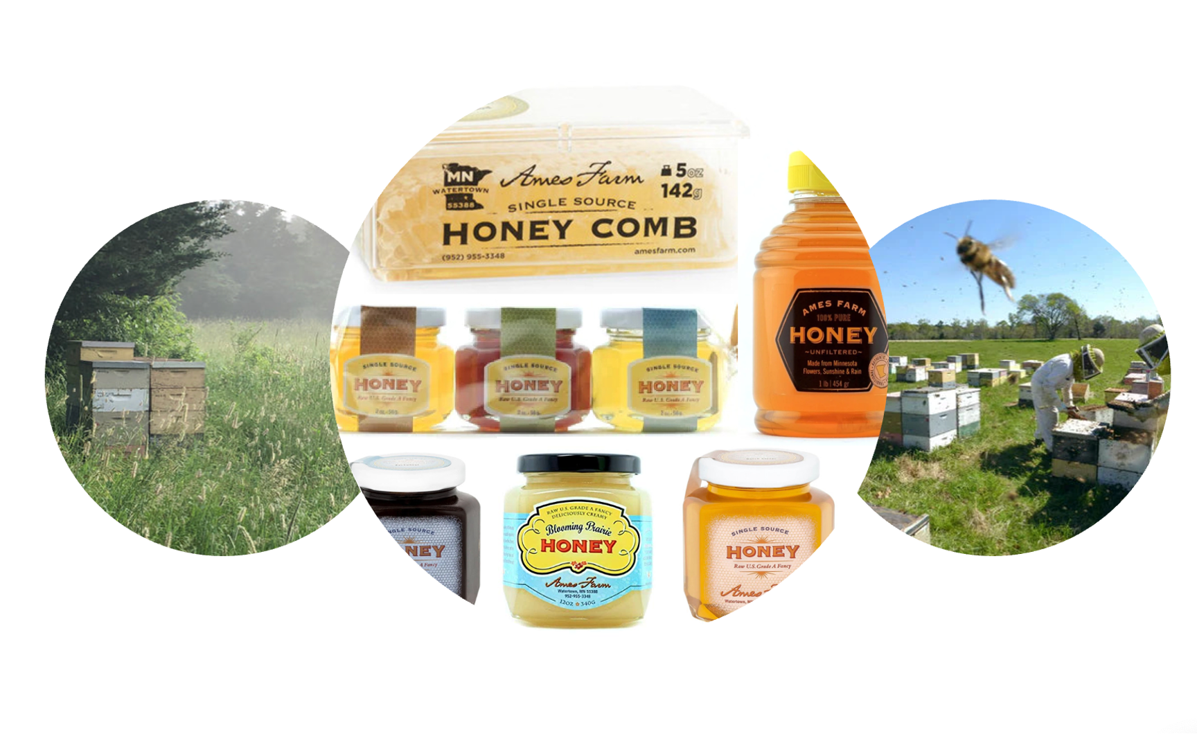 New Items from Local Ames Farm Honey - TC Farm