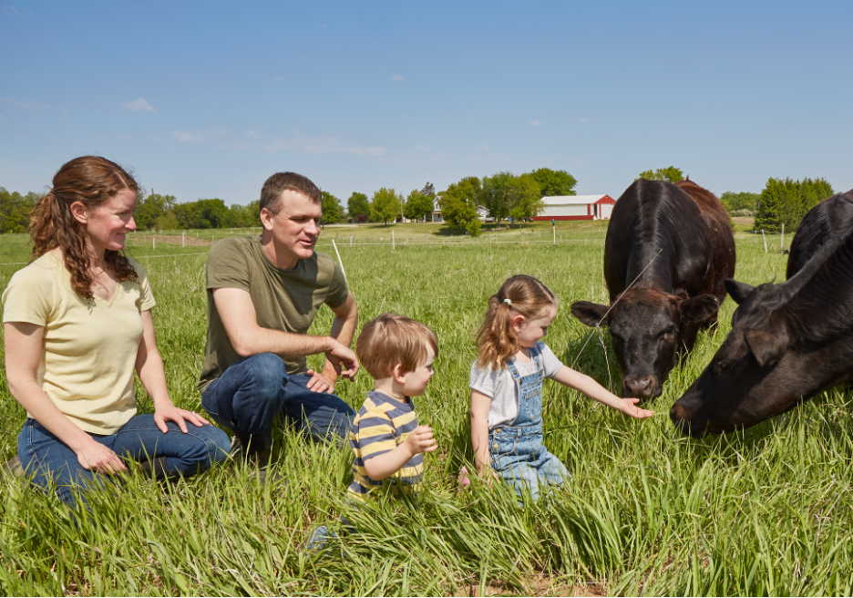 TC Farm Update - Important News from Jack - TC Farm