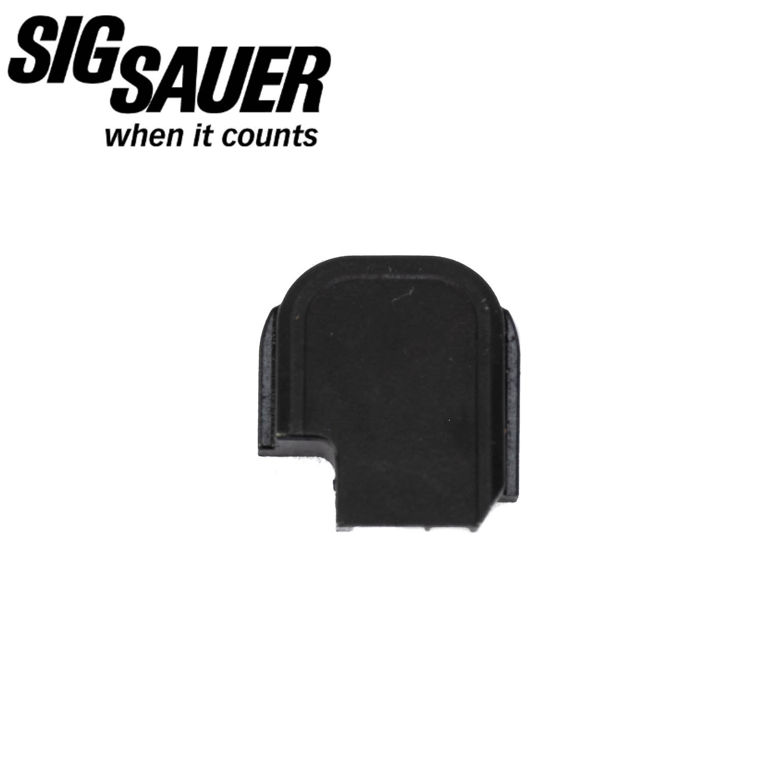 P320 Slide Cap Back Plate