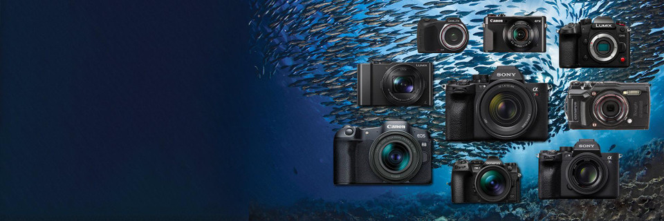 Bluewater Photo | Shoot, Learn, Explore