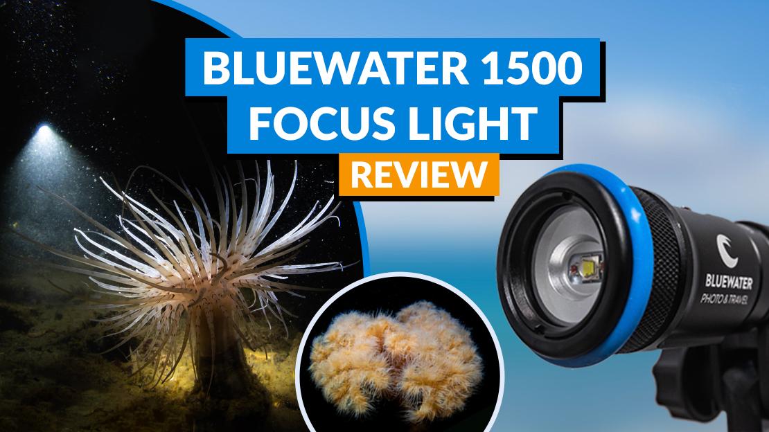 Bluewater 1500 Lumen Focus Light Review - Bluewater Photo