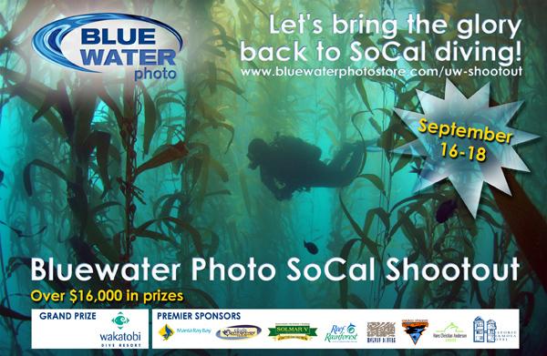 SoCal Photo Shootout Winners Announced! - Bluewater Photo