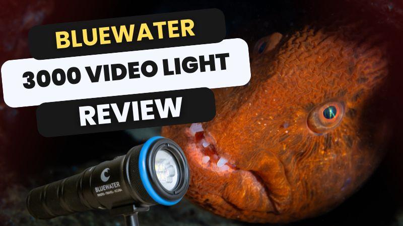 Bluewater 3000 Underwater Video Light Review - Bluewater Photo