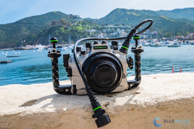 A Hydrophone for Underwater Video - Bluewater Photo