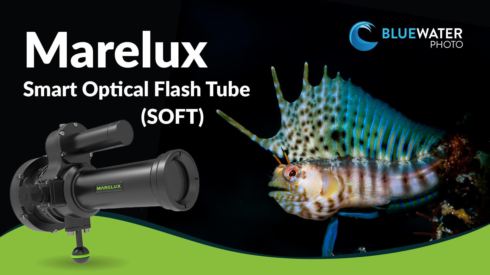 Marelux Smart Optical Flash Tube (SOFT) Snoot Underwater Review ...