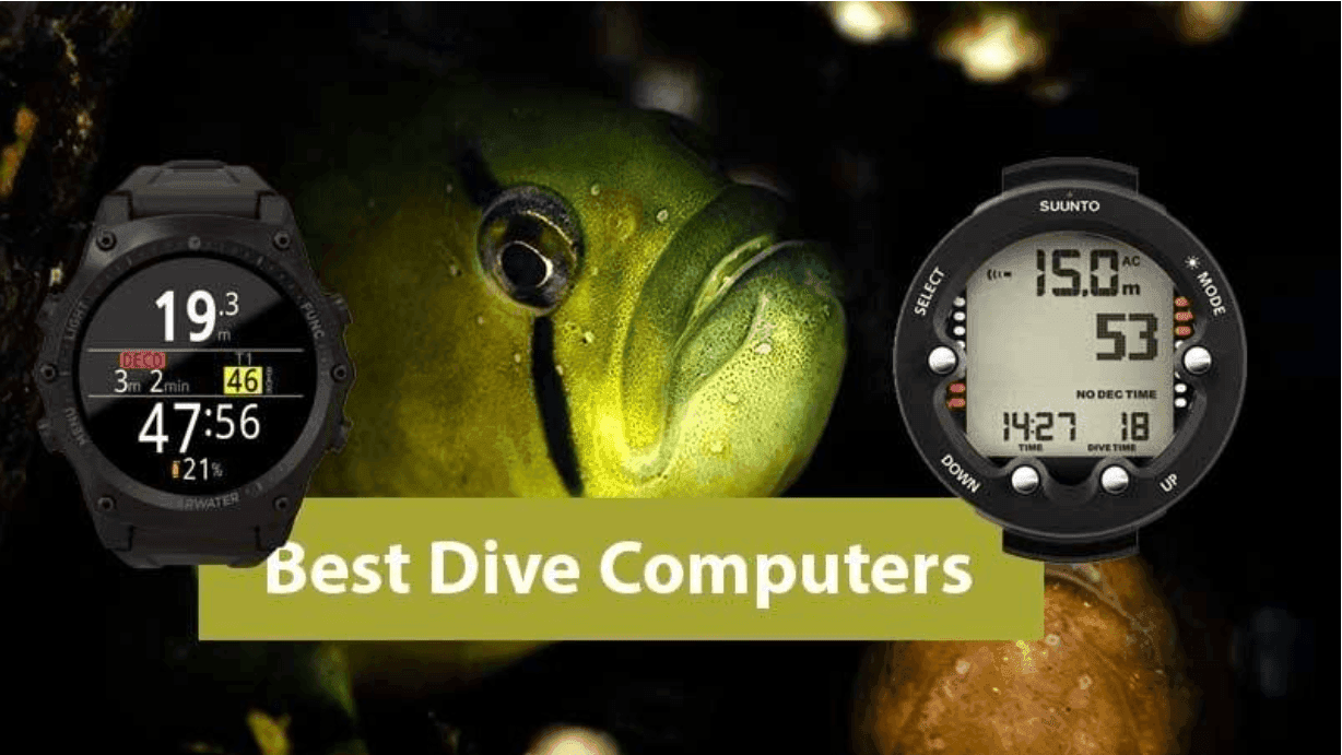 Best Dive Computers, Tested Hands-On by Divers (2026 Guide) - Bluewater ...
