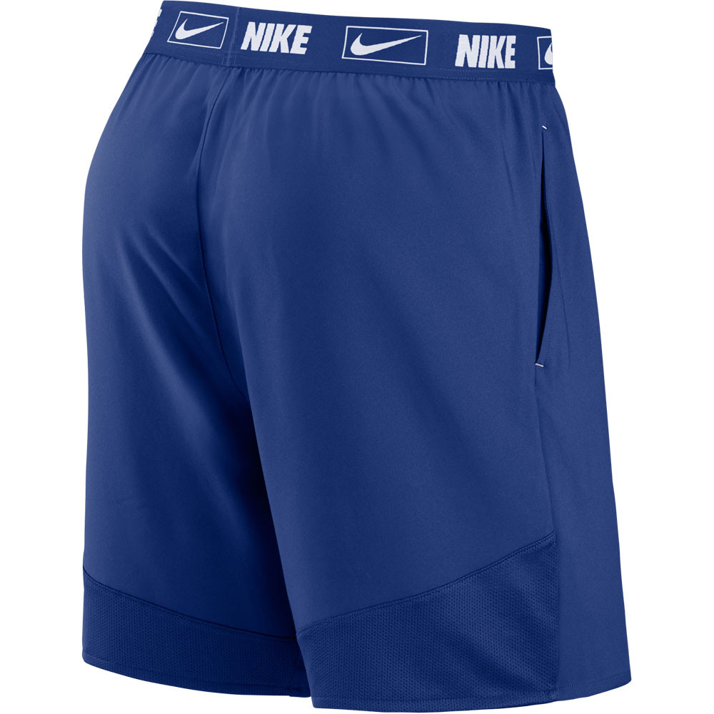 Chicago Cubs Primetime Performance Shorts | Official MLB® by NIKE®