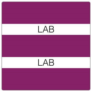 Medical Patient Index Tab 'Lab' 1.5-In. W, 102/Pack