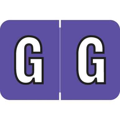 Amerifile Alpha Labels - Letter G, Purple, 1 x 1.5 Inch, 500/Roll