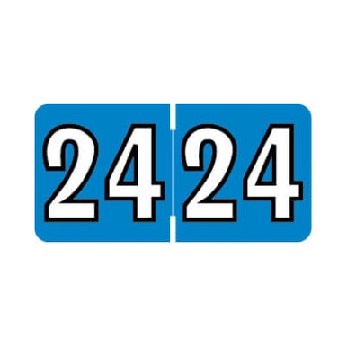 Colwell Year Labels 1/2 H x 1 W, 2024, Blue, 250/PK (CYPK-24)