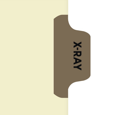 X-Rays Chart Dividers, Side Tab, Gray, 100/Box
