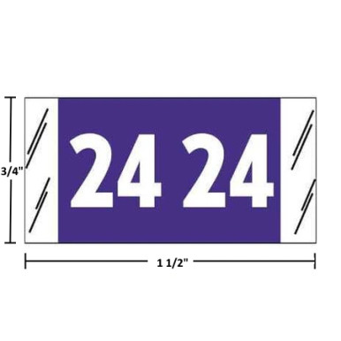 Acme Visible Year Labels - 24, Purple, 3/4" x 1-1/2", 1000/Roll