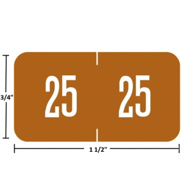 GBS/VRE Compatible Year Labels – 2025 Brown, 3/4 x 1-1/2, 94625