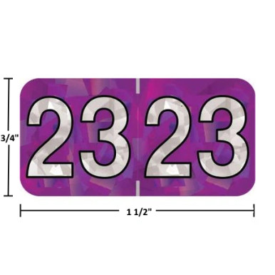 2023 Holographic Year Labels, 3/4 x 1-1/2, 500/Roll – 10 Colors