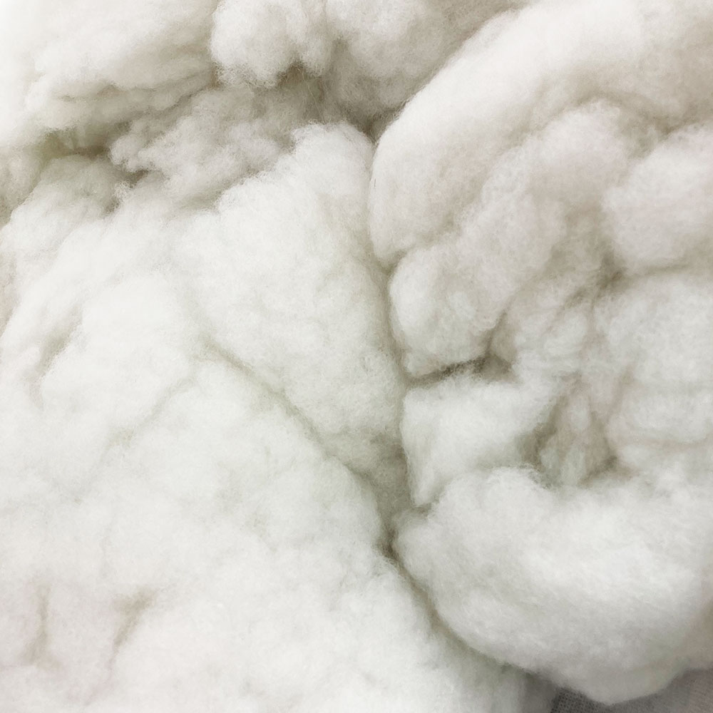 2kg Bag Polyester Fill - queenb