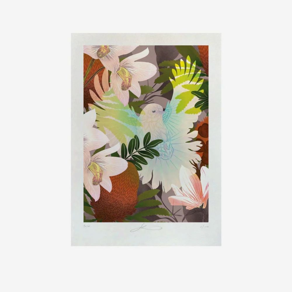 White Fantail & Banksia - Print by Flox | queenb