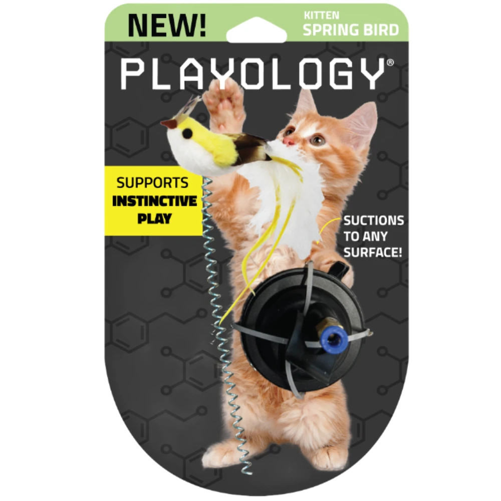 Purchase Suction Cup Spring Bird Cat Toy by Playology | queenb.co.nz