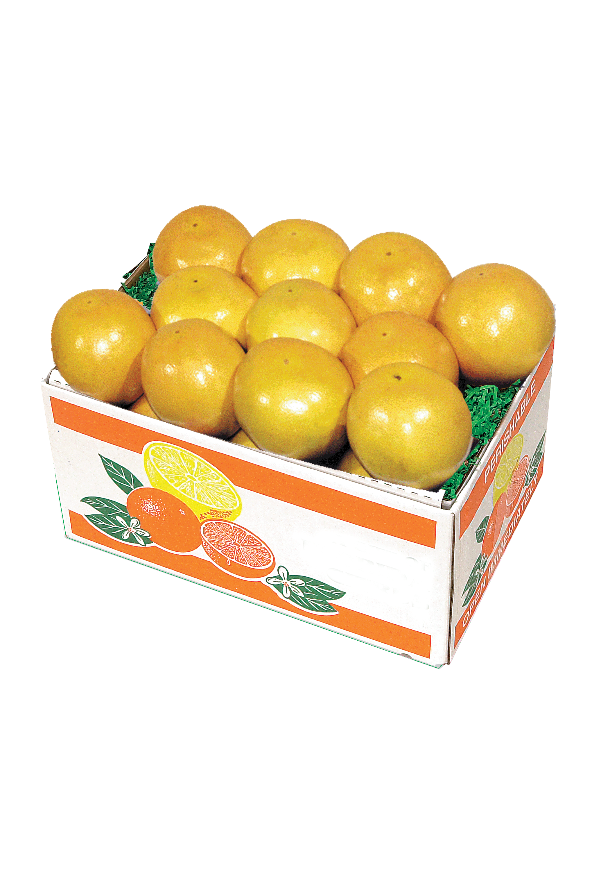 Ruby Red Grapefruit - Jennings Citrus
