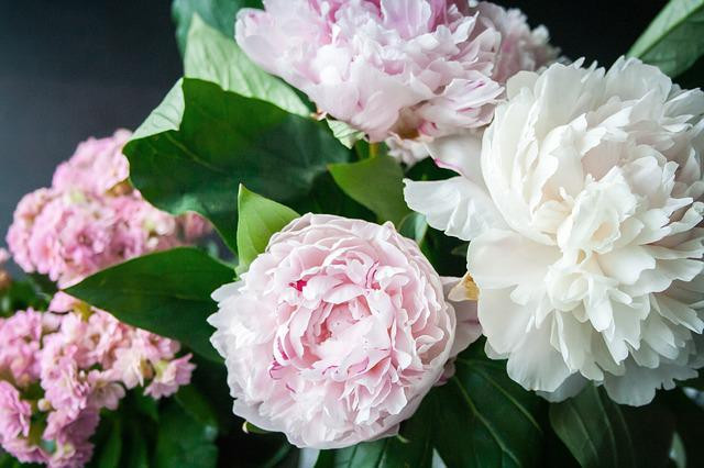 Flower Delivery Simi Valley Florist - Flowers Near Me - Simi Flowers ...