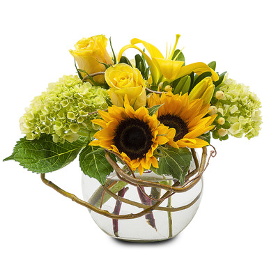 Rays of Sunshine | Simi Flowers and Gifts