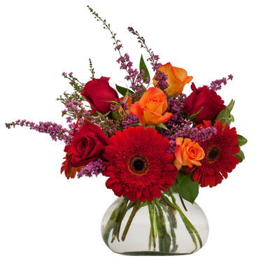 Salsa | Simi Flowers and Gifts - Simi Valley Florist
