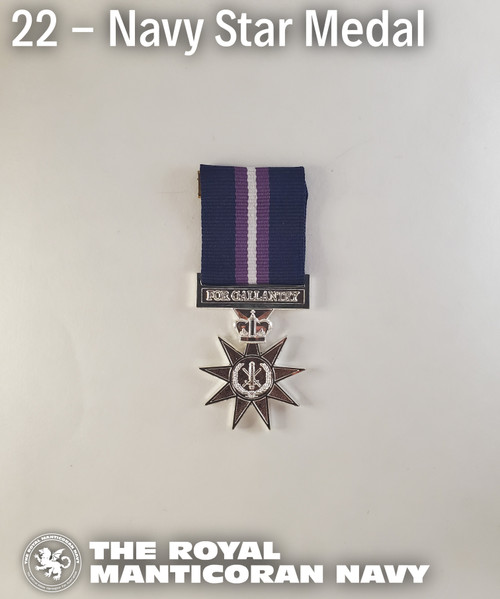 22 - Navy Star Medal - The Royal Manticoran Navy BuSup