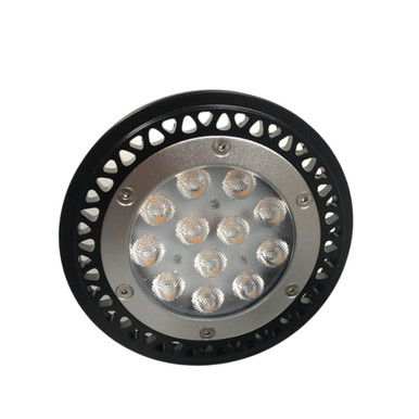 LED PAR36 Lamp