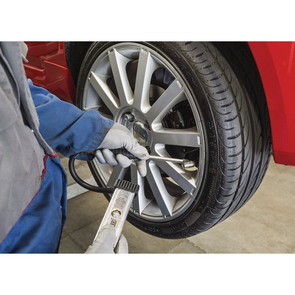 Air Line Inflator with Twin Open Ended Push On Connector (36632 ...