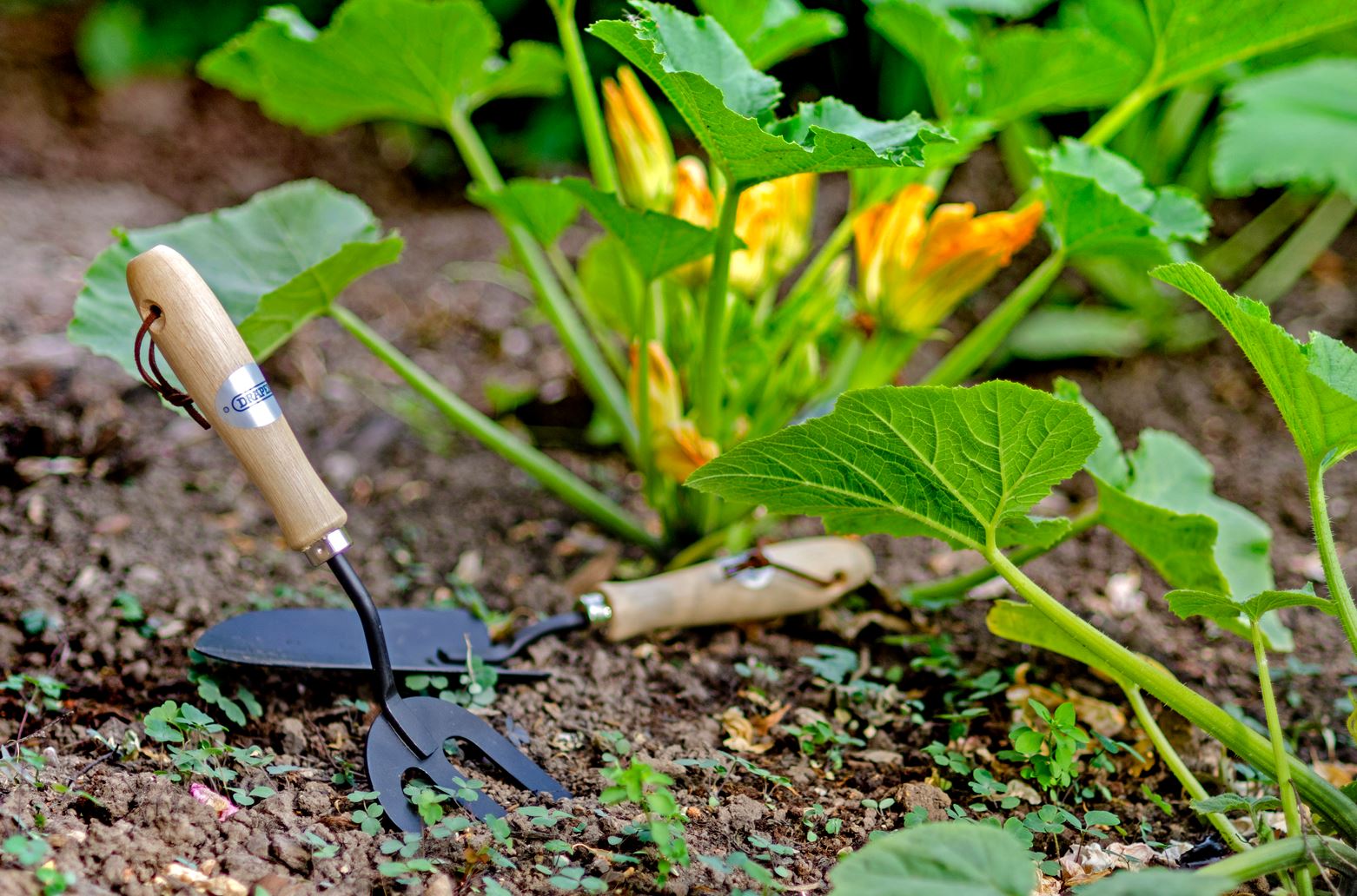 Essentials for National Allotments Week - Draper Tools Ltd