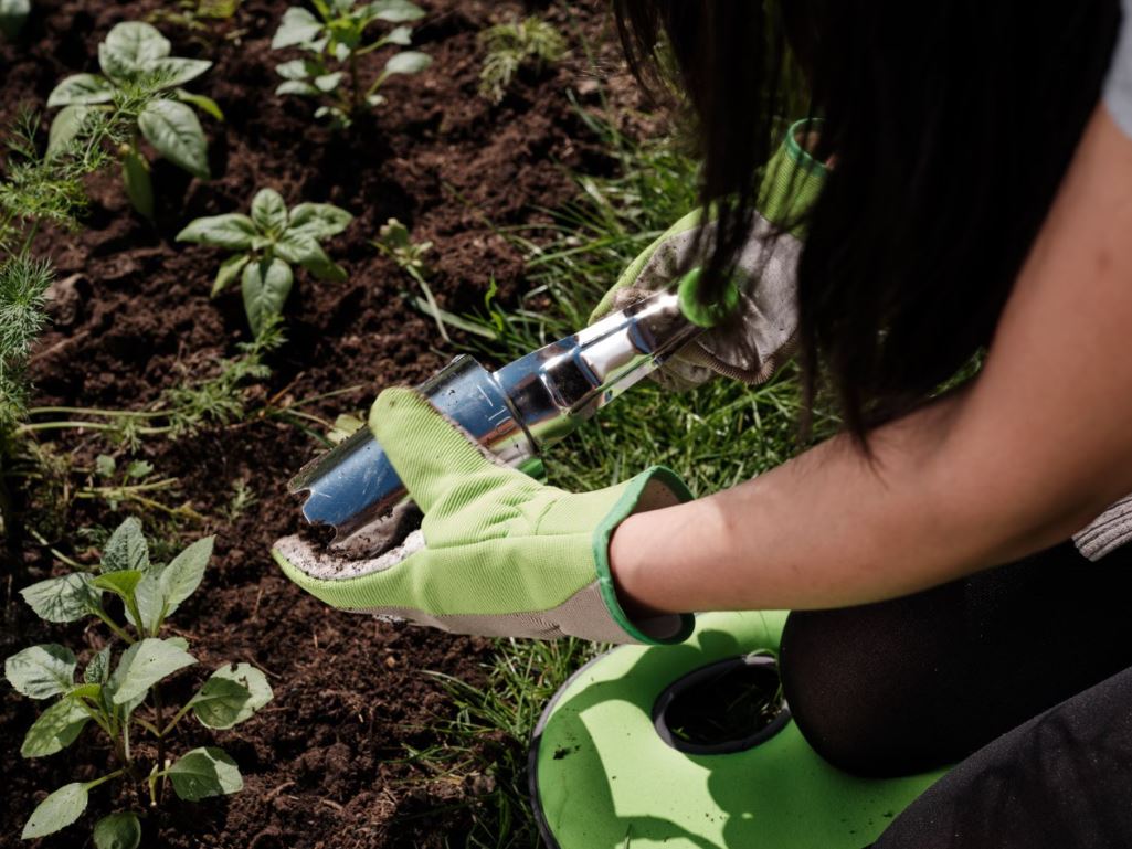 Top 5 garden jobs for spring - Draper Tools Ltd
