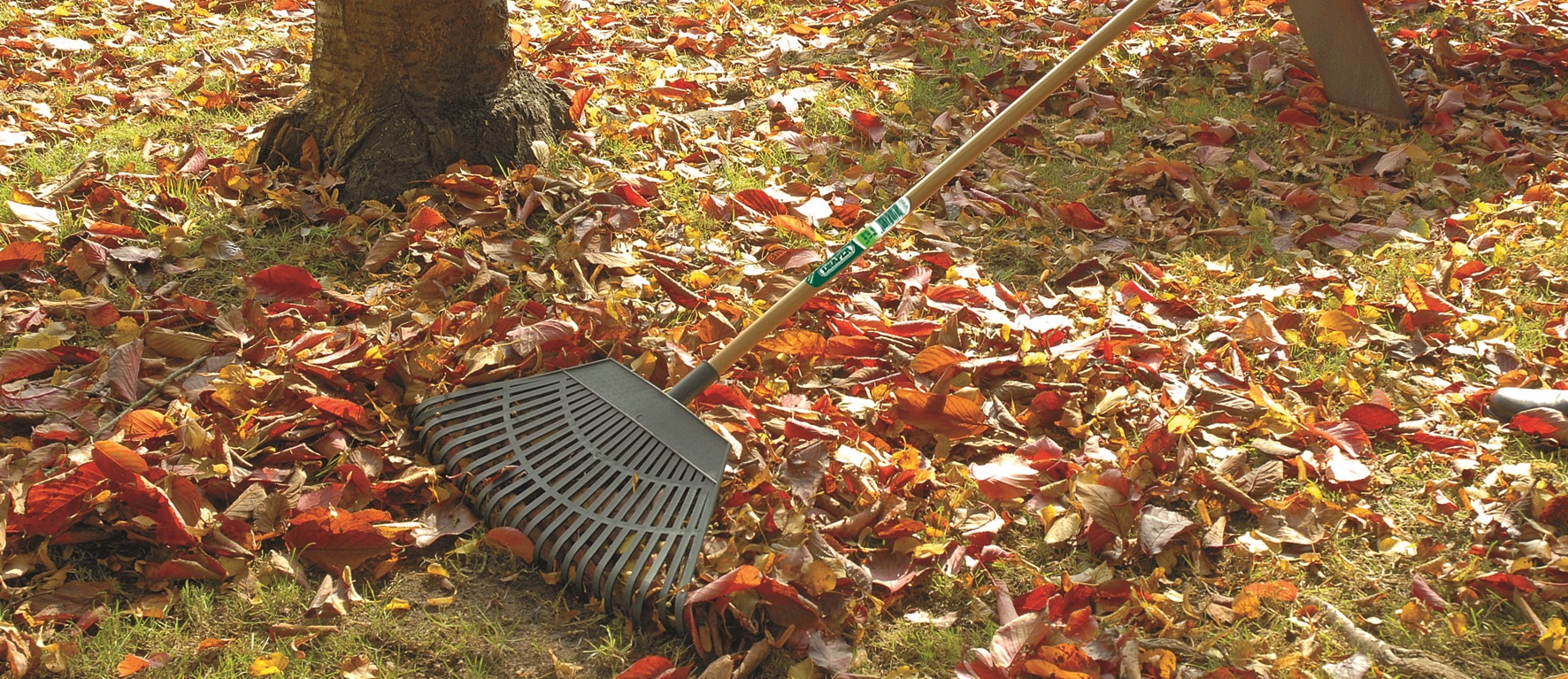 What's on your Autumn to do list? - Draper Tools Ltd