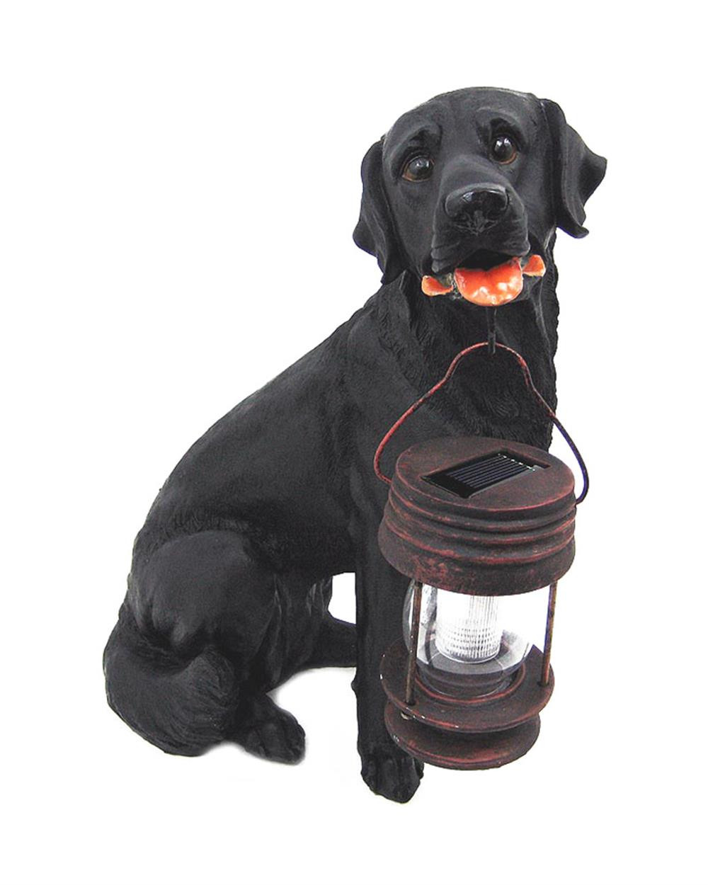 Are Black Lights Safe For Dogs