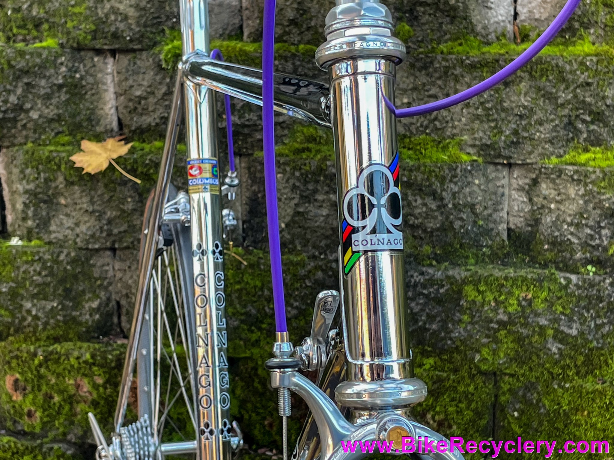 NOS 1983 Colnago Master Arabesque: 58cm - Campagnolo Super Record 50th ...