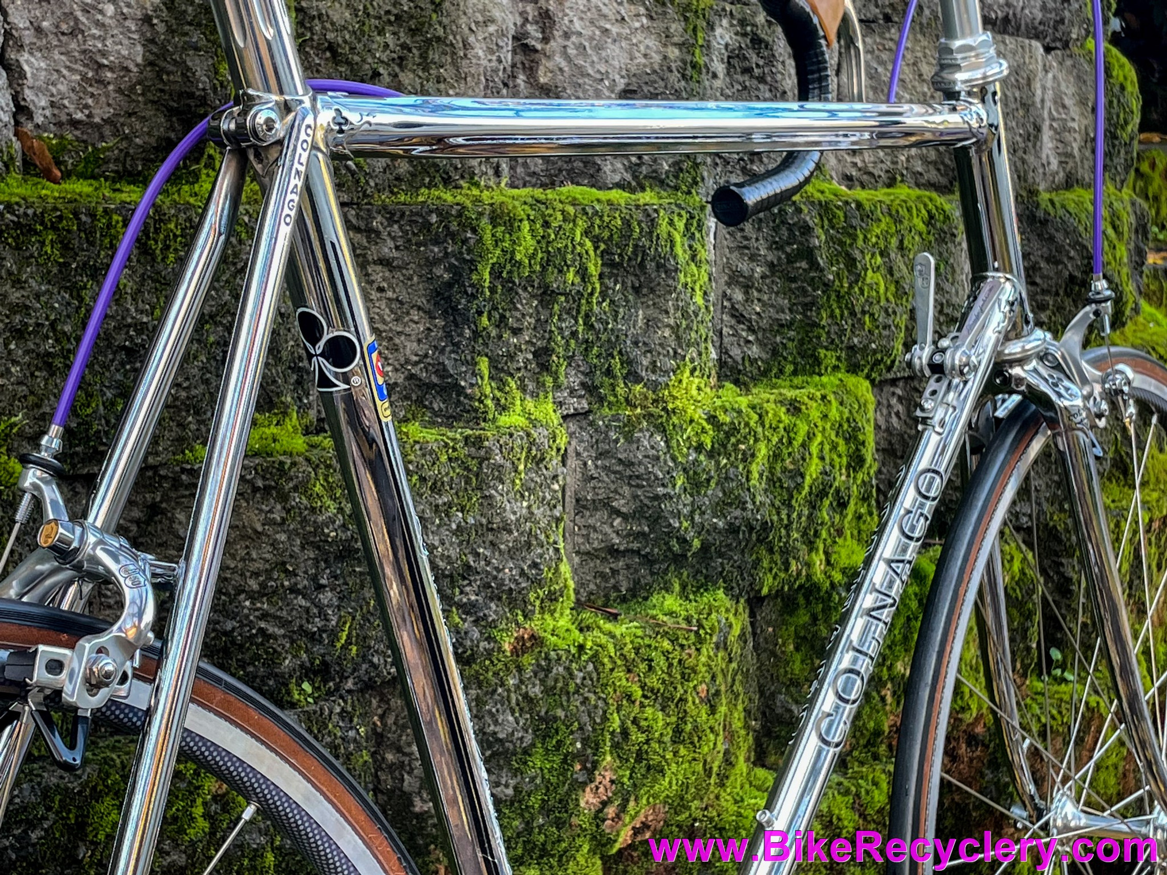 NOS 1983 Colnago Master Arabesque: 58cm - Campagnolo Super Record 50th - Internal Routing - Top ...