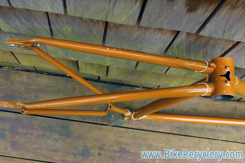 Livery Prototype Track Frame/Fork: Yoke Chainstay, Fancy Lugs ...