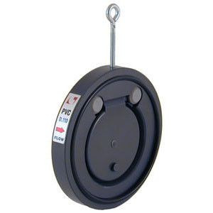 4" Cepex PVC Wafer Check Valve 08986 - PVCFittingsDirect.com