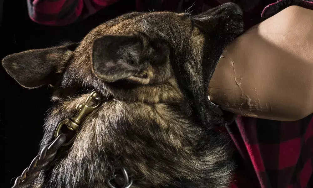 Maritime Marine Plate Carriers, Equipment & Tactical Gear - FirstSpear