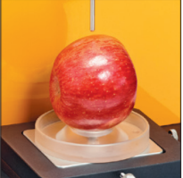 Circular Support Fixture | Brookfield Accessories