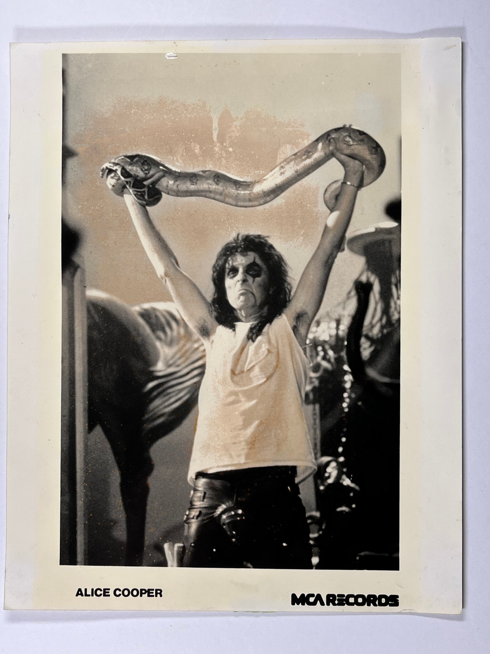 Alice Cooper Photo MCA Record Original Black And White Promotion Circa ...