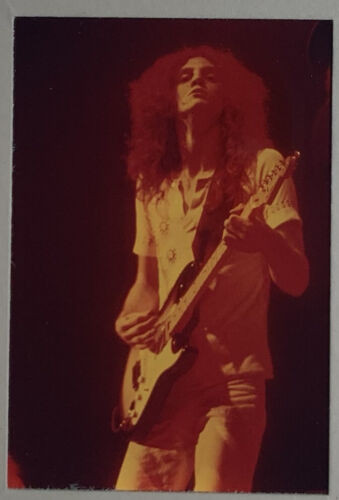 Lynyrd Skynyrd Allan Collins Transparency Positive Photographic Slide ...
