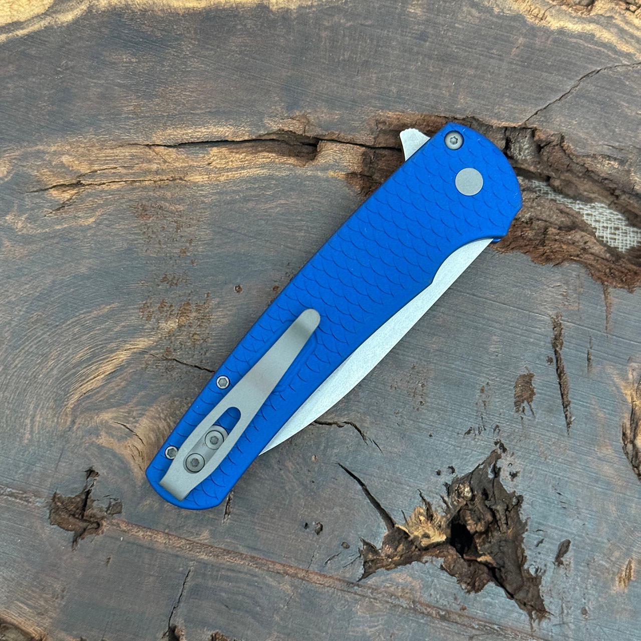 Pro-Tech Malibu Button Lock Flipper Wharncliffe Dragonscale Blue Handle ...