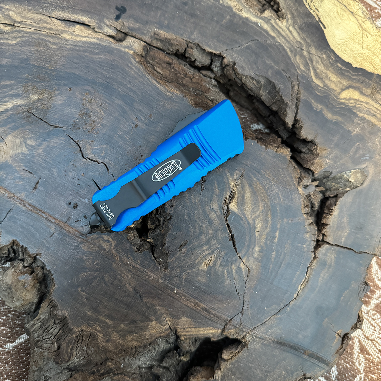 Microtech Mini Troodon D/E Blue Handle Black Full Serrated Blade 238 ...