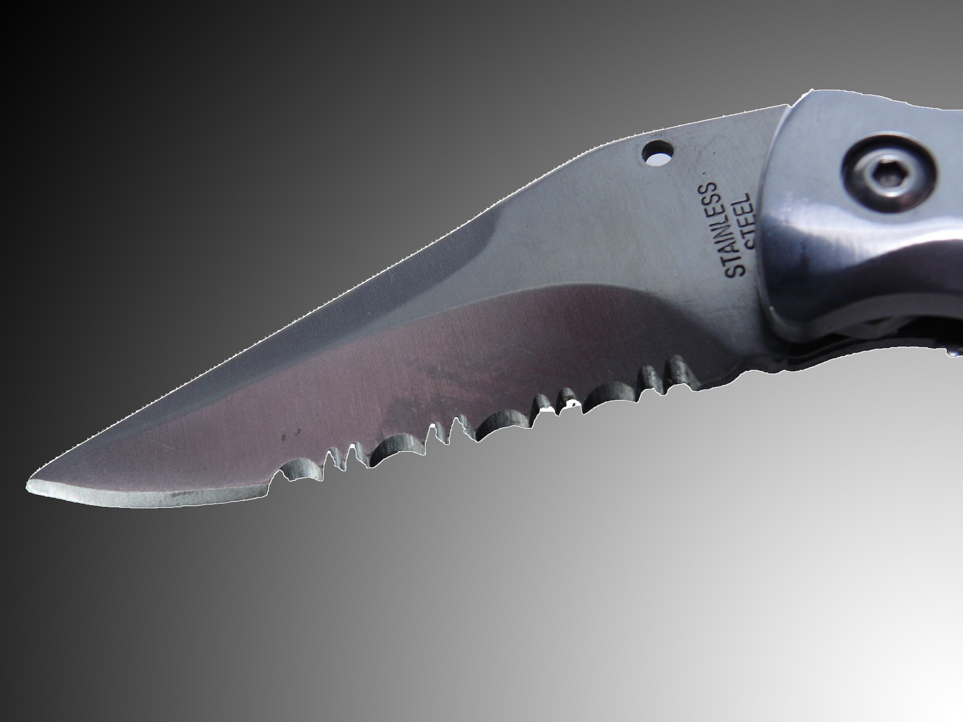 Care for Your Knives: Basic Maintenance and Cleaning Tips - American ...