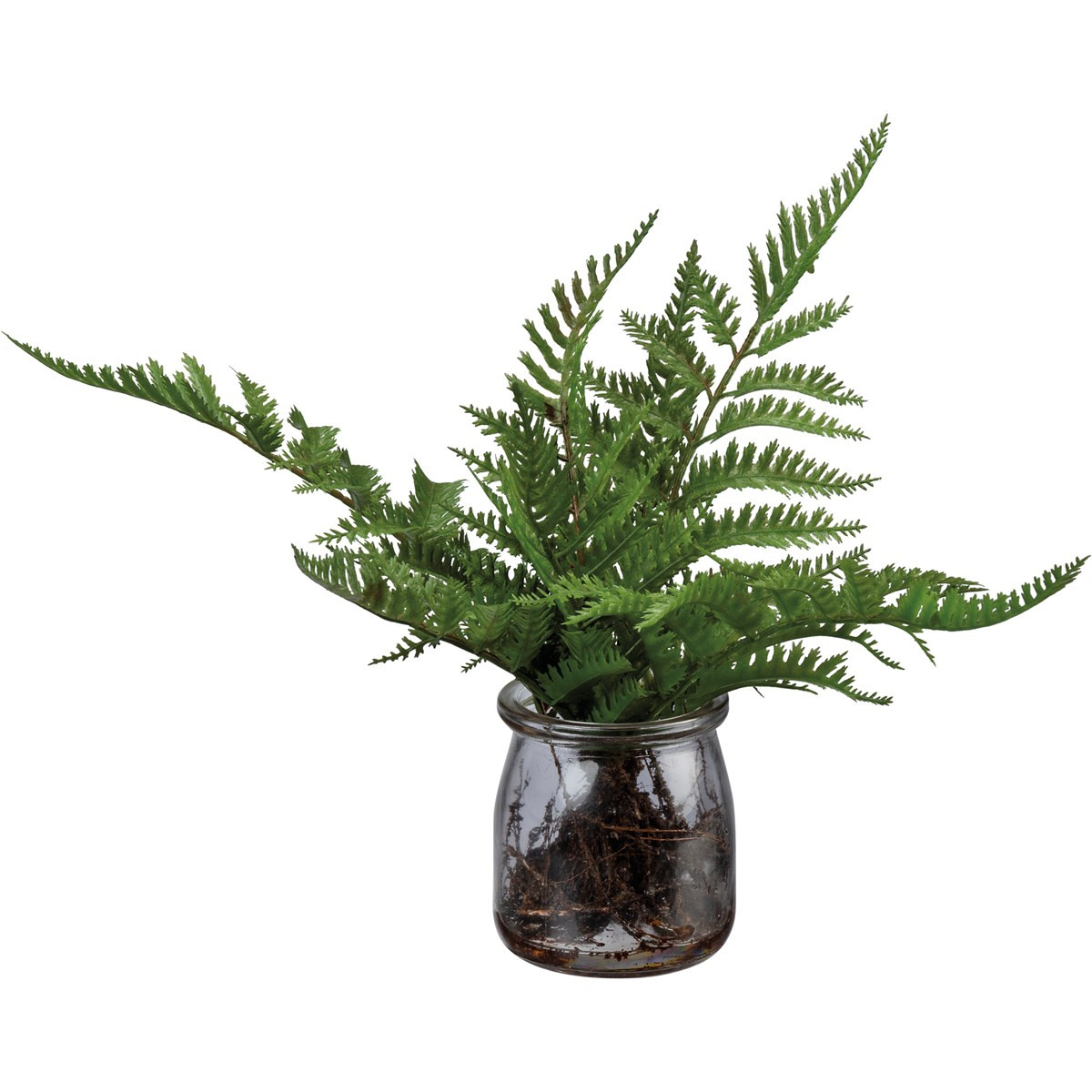 Jar Fern | Primitives by Kathy | The Penguin Gallery