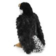 Peregrine Falcon Hand Puppet | Folkmanis® | The Penguin Gallery