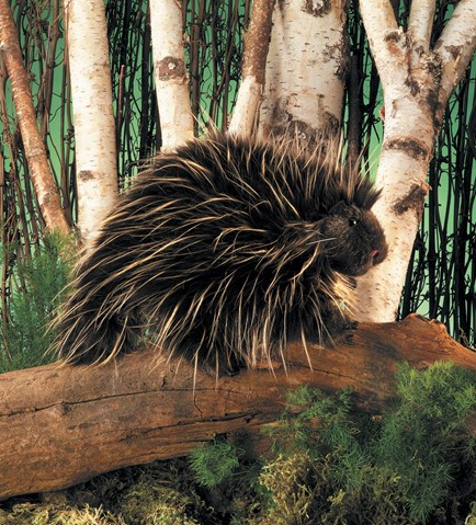 Porcupine Puppet | Folkmanis® | The Penguin Gallery