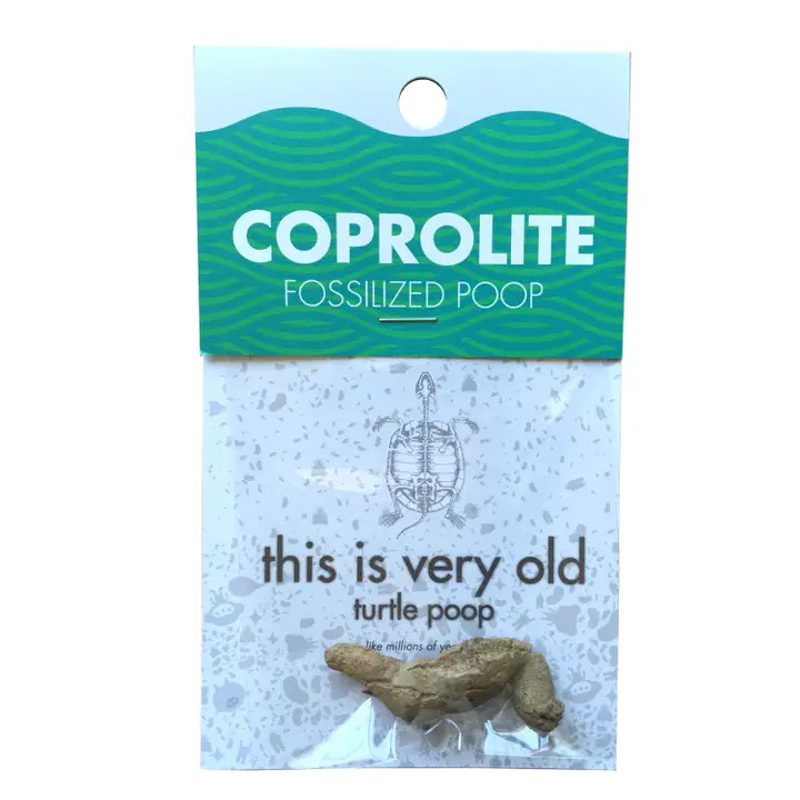 Coprolite Fossil Turtle Poop | Copernicus | The Penguin Gallery